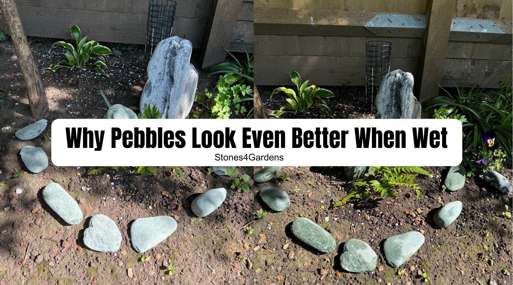 Why Wet Pebbles Look Stunning – Garden Ideas for May