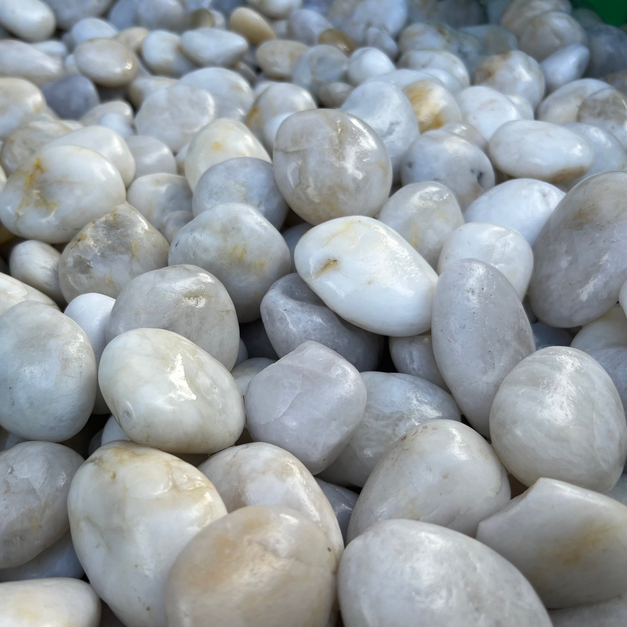 Quartz White Polished Pebbles | Decorative Stones for Gardens