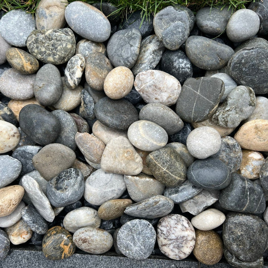 Japanese Flat "Greige" Pebbles | Decorative Stones for Gardens
