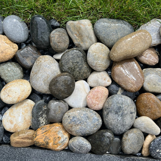 Japanese Flat "Greige" Pebbles | Decorative Stones for Gardens