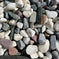 Mixed Colour Pebbles - Perfect Stones For Any Size Garden