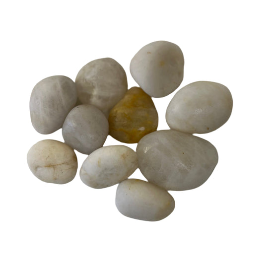 Quartz White Polished Pebbles | Decorative Stones for Gardens