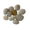 Quartz White Polished Pebbles | Decorative Stones for Gardens
