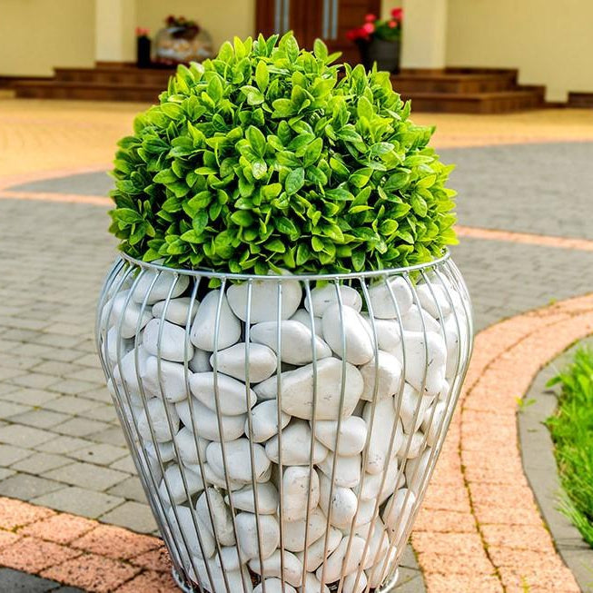 S4G | Garden Pebbles, Gravel & Aggregates | Next Day Delivery – Page 3